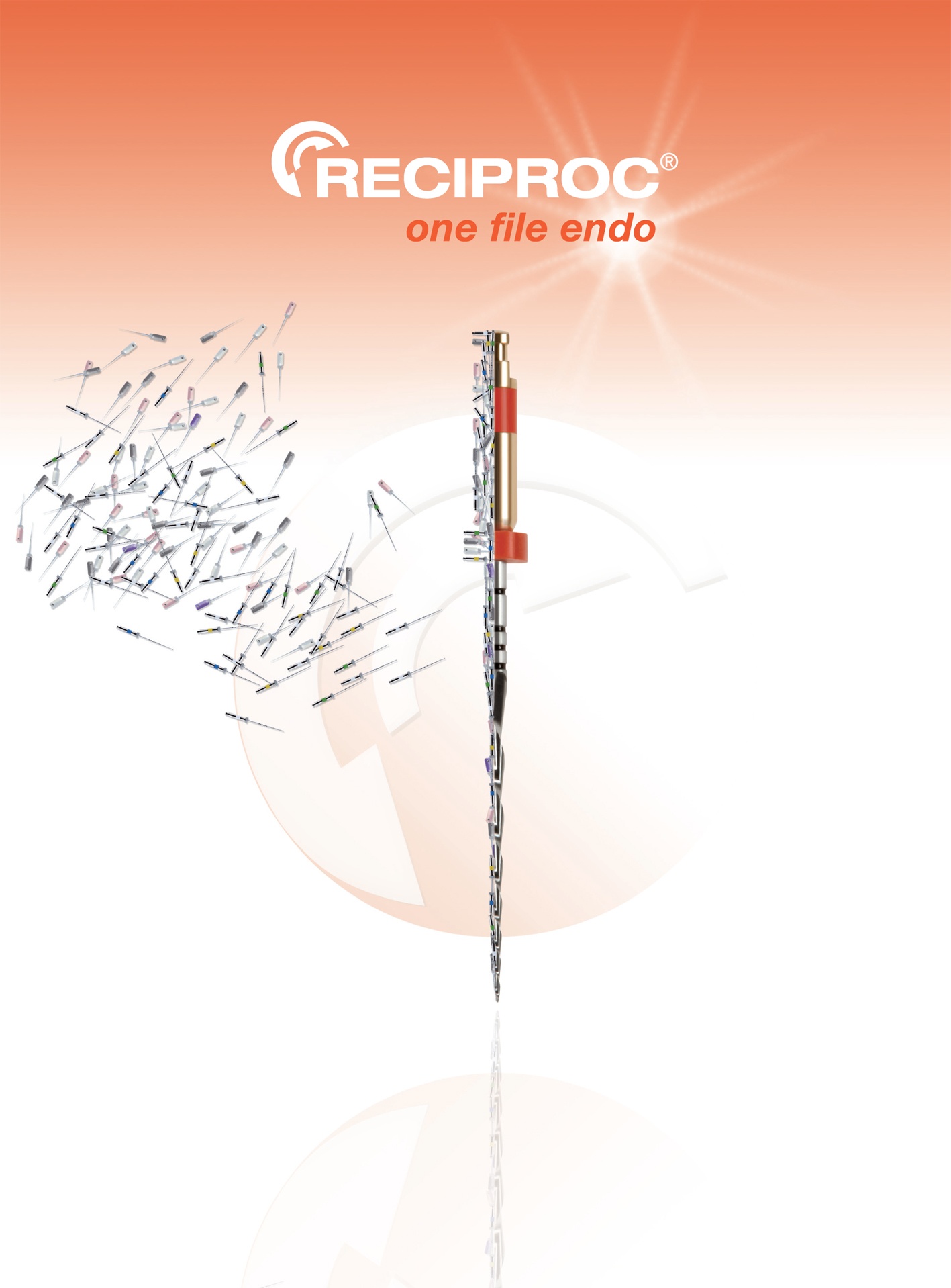 reciproc 1 file rotary endo from vdw